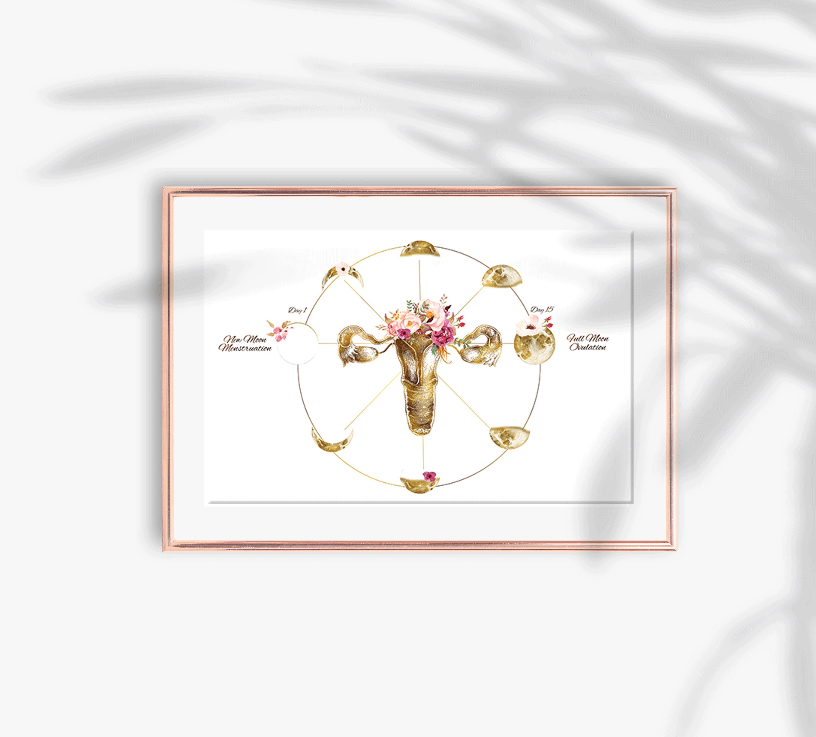 Uterus Print, Menstrual Cycle Art, Obstetrician Art Print, Gynaecology ...