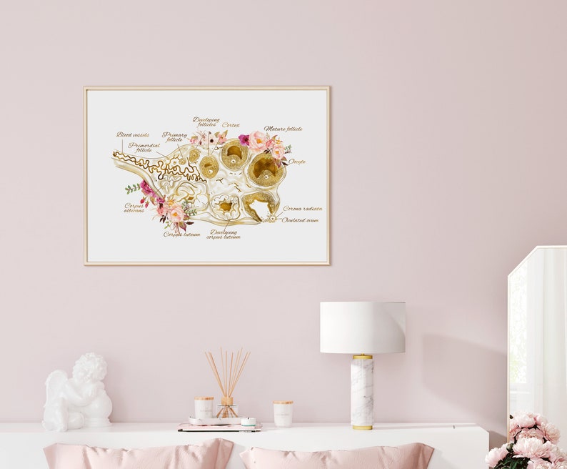 Ovary Anatomy Art Print, Floral Gynecology Decor, OBGYN Office Wall Art ...