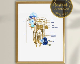 I'm Cavity Free Sign Dental Office Decor Pediatric - Etsy