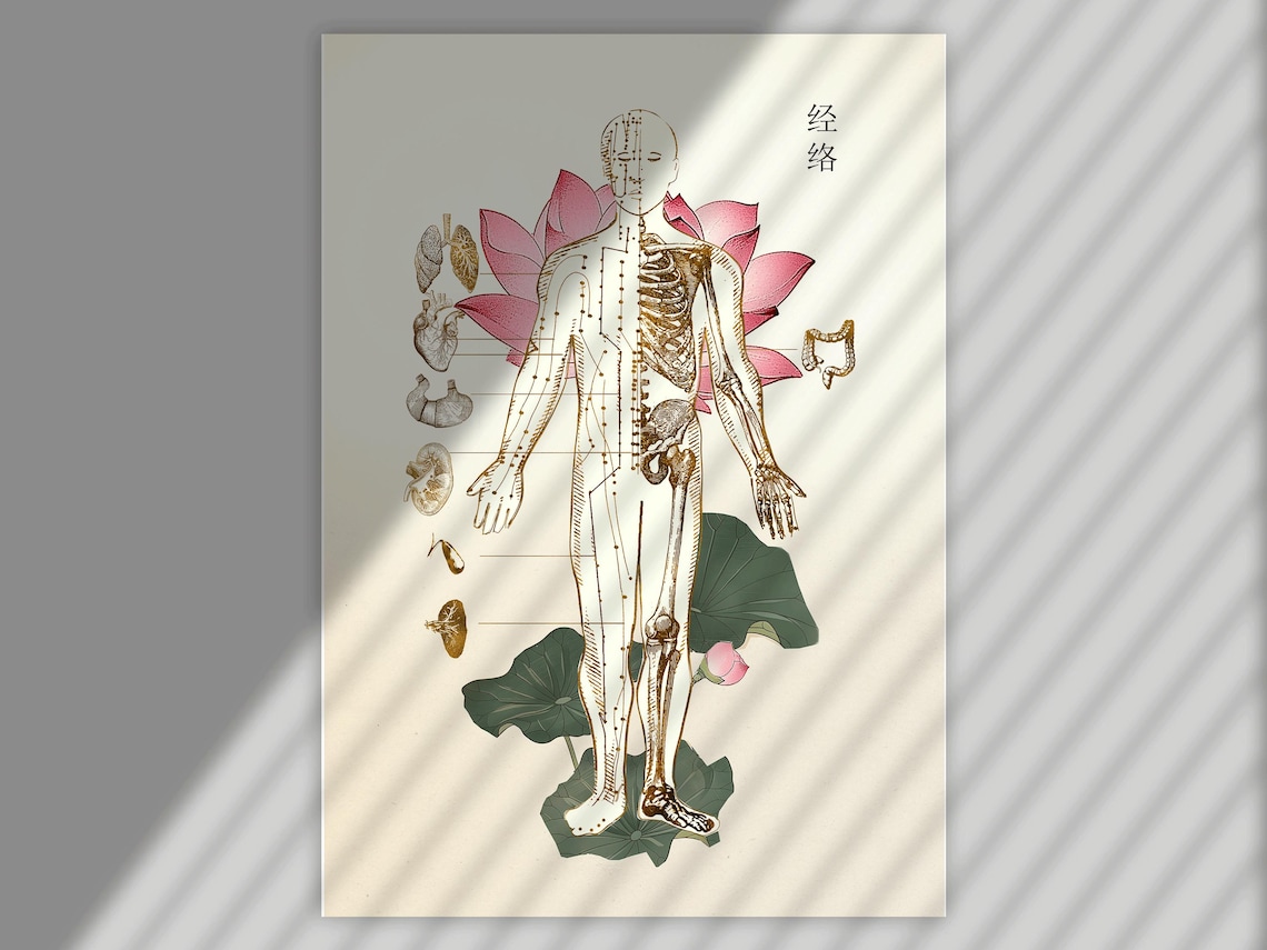 Acupuncture Points Chart Digital Download – Meridian Map for ...