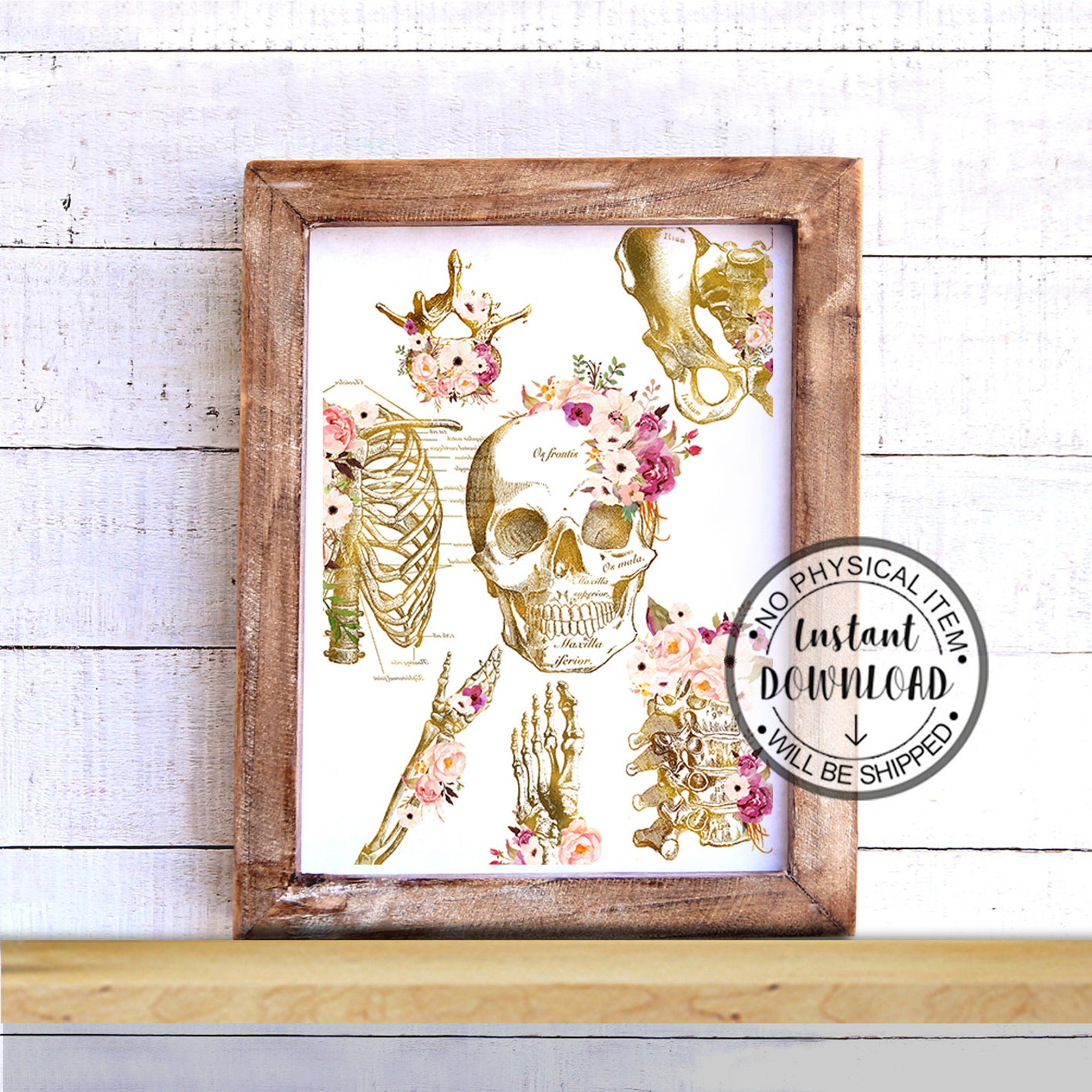 Human Skeletal System Human Anatomy Art Human Bones | Etsy