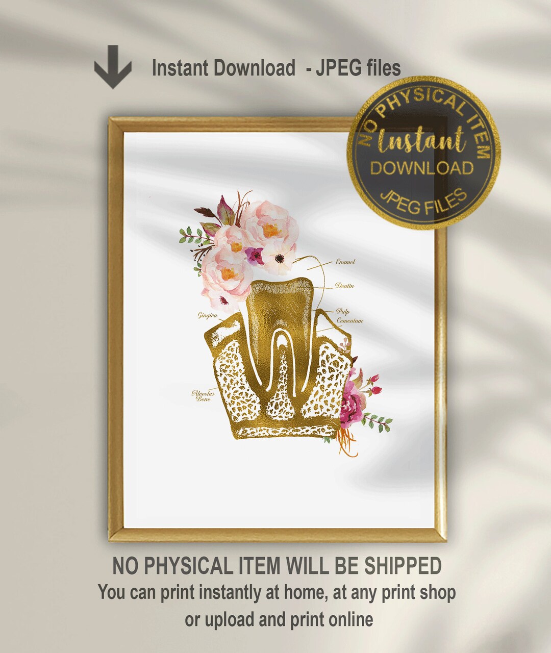 Tooth Anatomy Art, Tooth Art, Dental Assistant Gift, Dental Hygienist ...