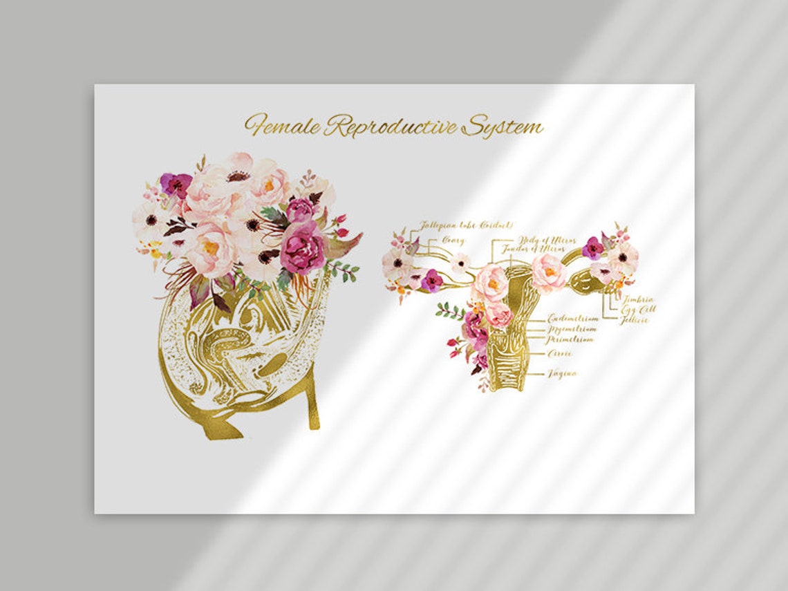 Uterus Art Womb Art Obstetrician Gift Midwife Gift OBGYN - Etsy