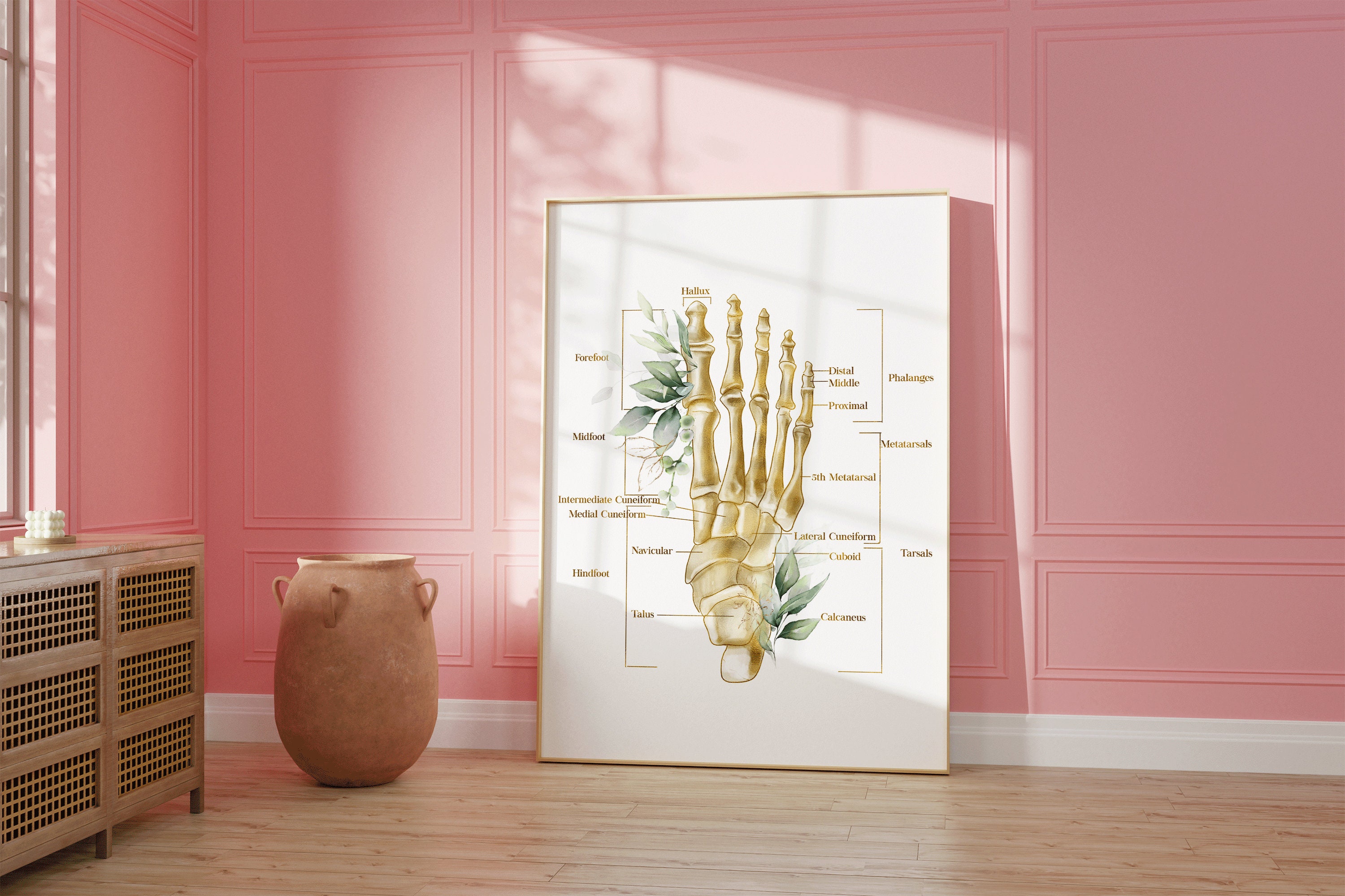 Foot Anatomy Art Print: Podiatrist Office Decor (printable) - Etsy