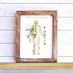 Acupuncture Meridians, Acupuncturist Gift, Acupuncturist Office Wall ...