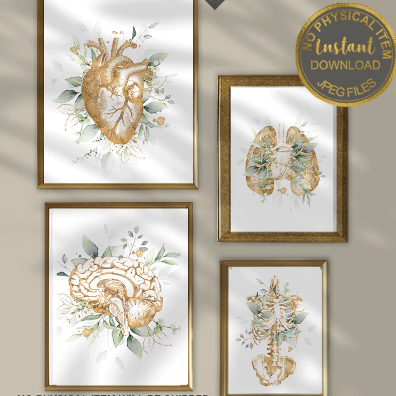 Medical Art - Etsy