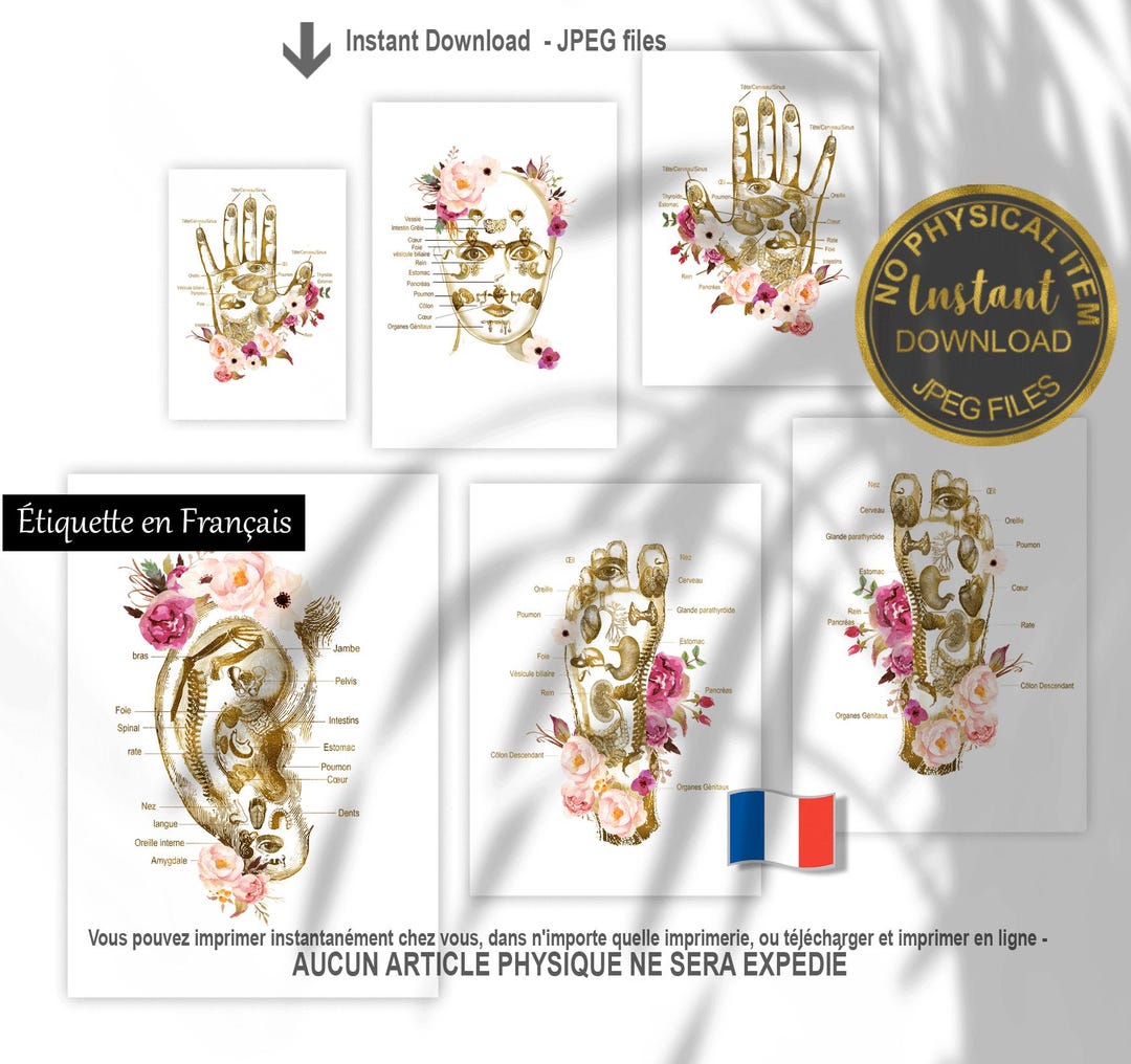 French Reflexology Charts Printable Set, Foot Hand Ear Face Reflexology ...