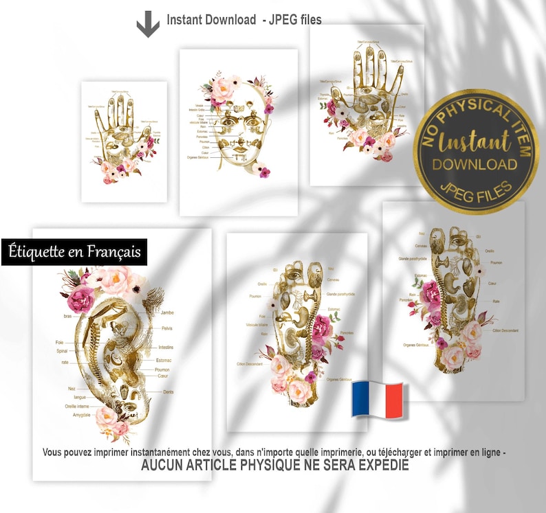French Reflexology Charts Printable Set, Foot Hand Ear Face Reflexology ...