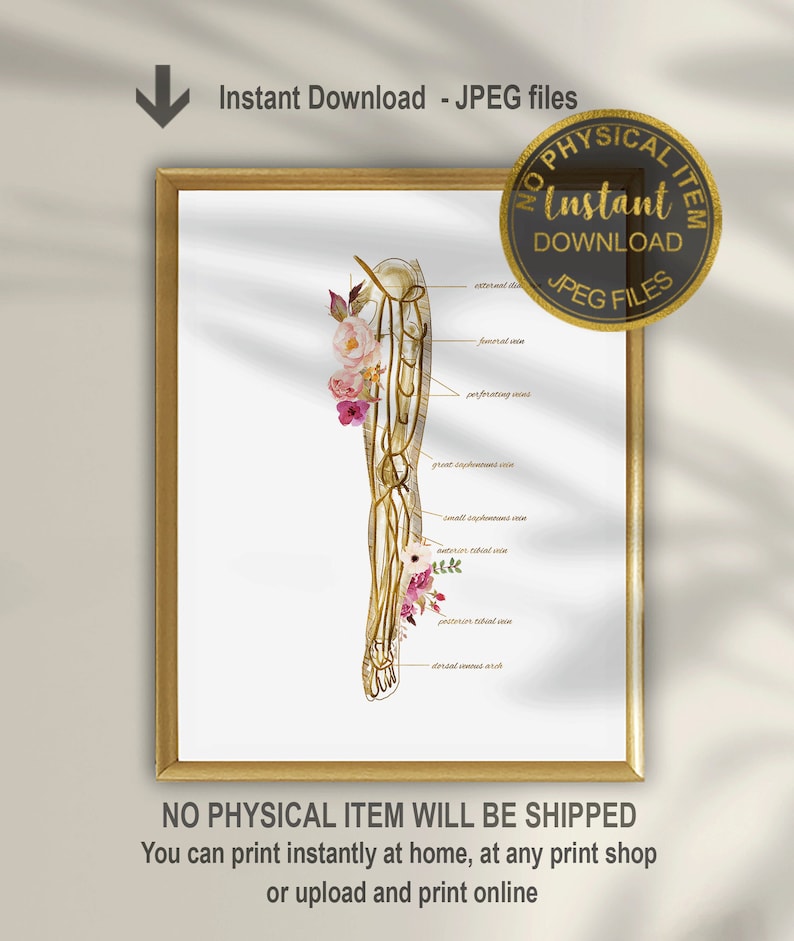 Leg Veins Art Print, Floral Venous Circulation Anatomy, Vascular ...
