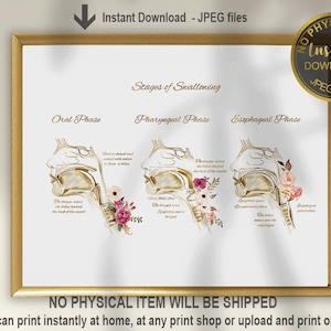 Stages of Swallowing, SLP Art Printable, Speech Pathology Art, Speech ...