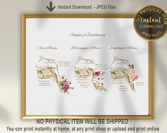 SLP Art, Anatomy of Swallowing, SLP Wall Art, Speech Pathology, Speech ...