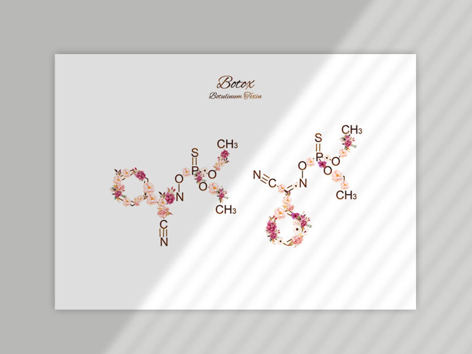 Botulinum Toxin Molecule Botox Molecule Dermatologist Gift | Etsy