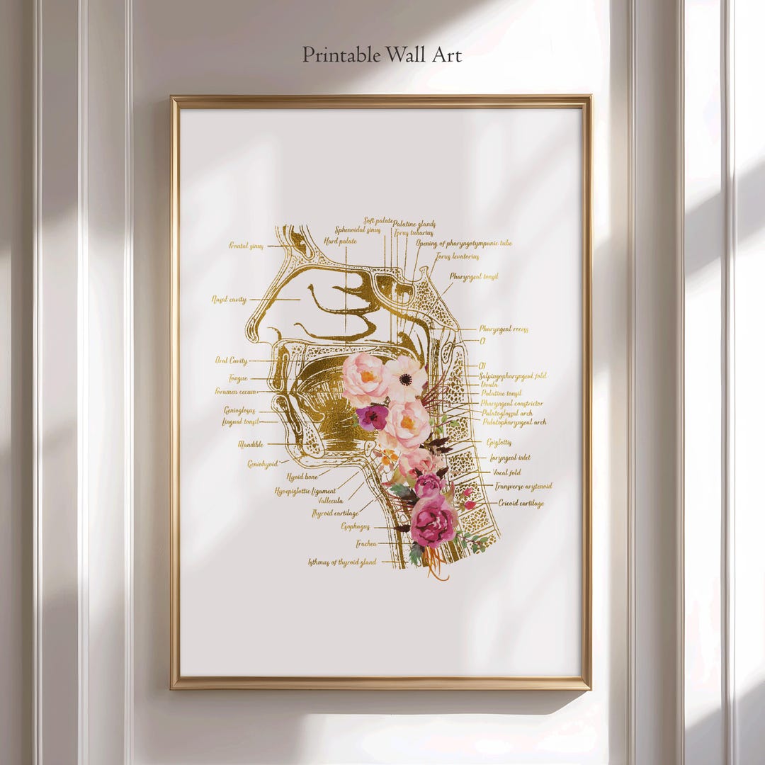 Speech Therapy Anatomy Poster Printable, SLP Office Decor, Speech ...