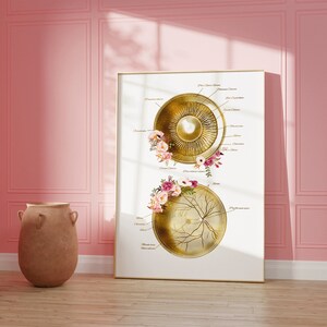 Ophthalmology Gift, Ophthalmologist Gift, Ophthalmology Art ...