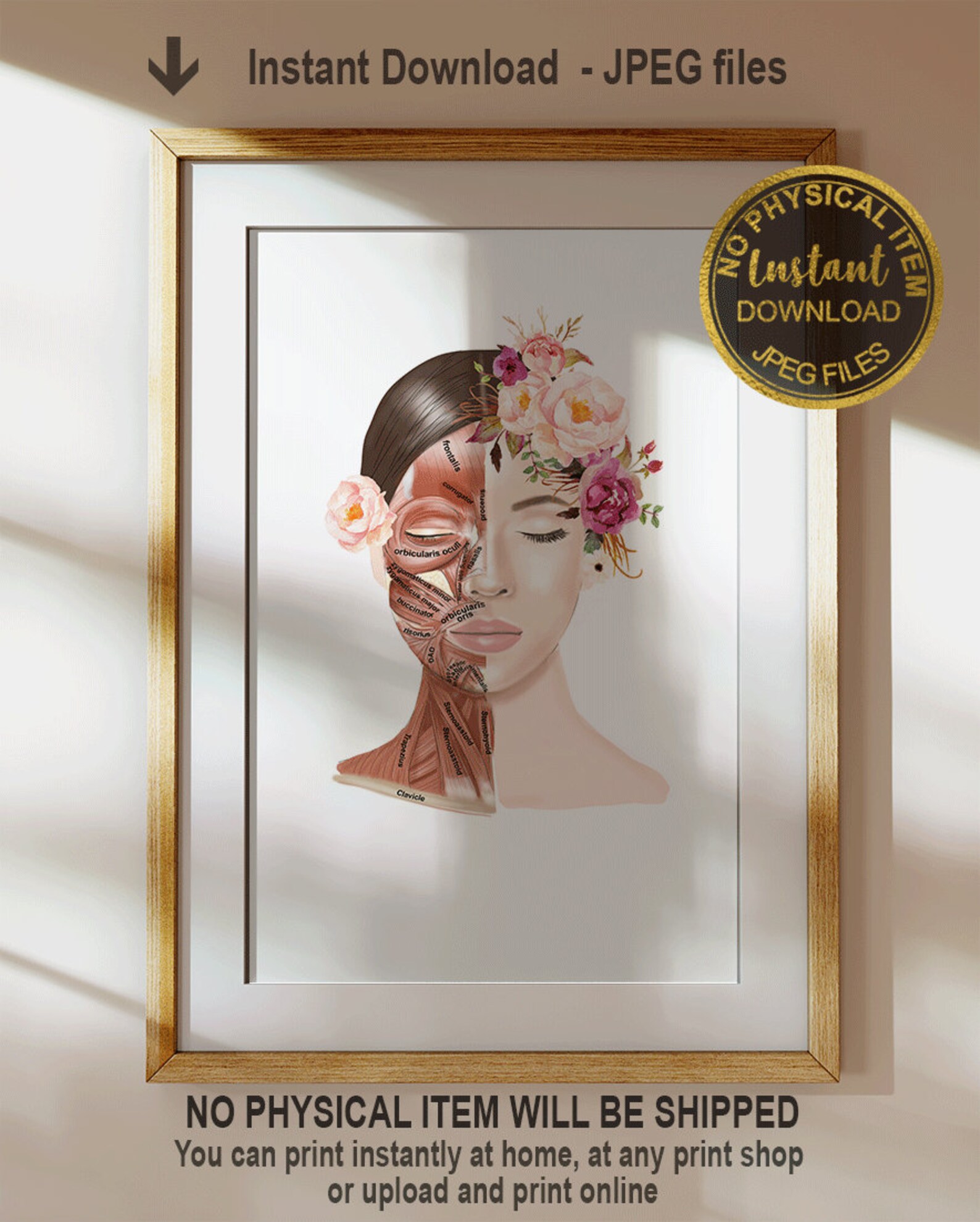 Facial Muscles Poster Esthetician Decor Spa Treatment Room - Etsy