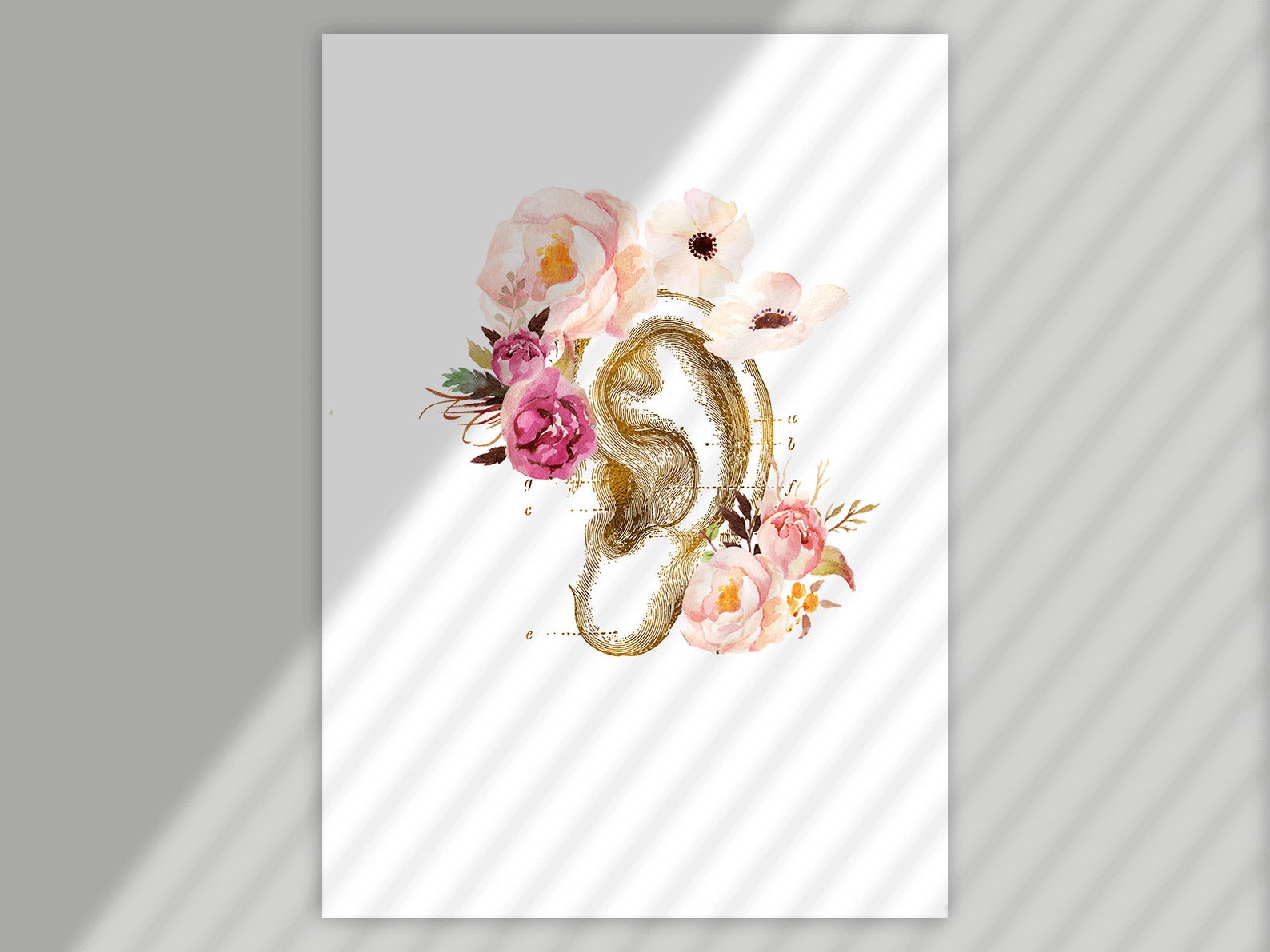 Human Ear Anatomy Print, Audiology, Audiologist, AUD Graduation ...