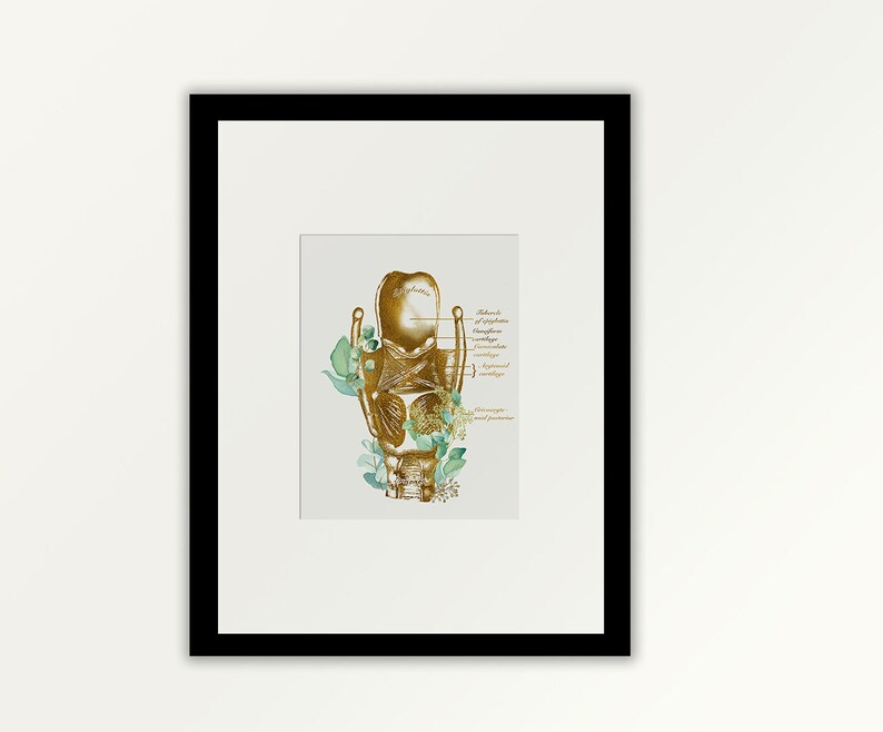 Larynx Anatomy Print Larynx Art SLP Office Decor Speech | Etsy