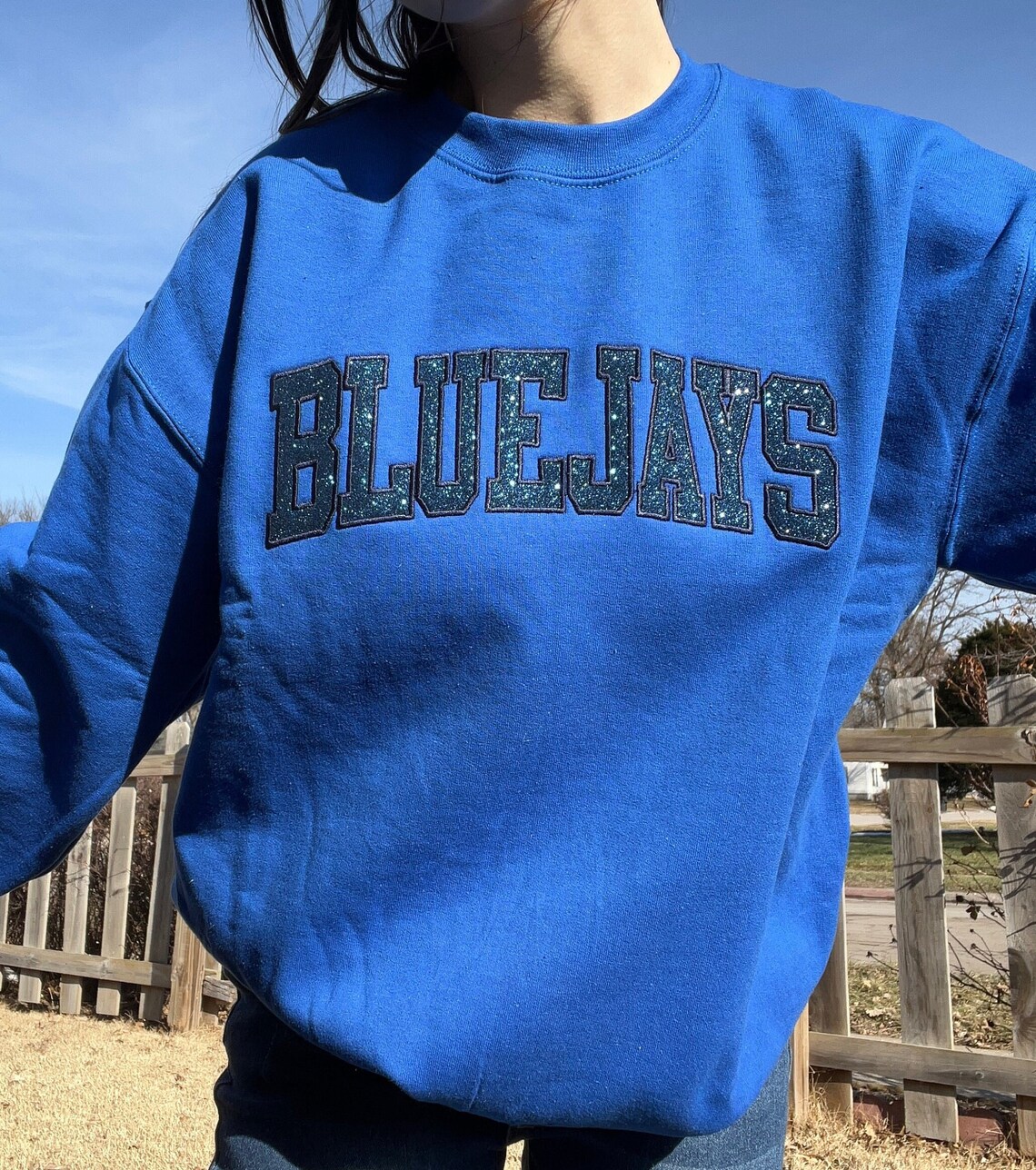 Blue Jays Glitter & Embroidered Crewneck - Etsy
