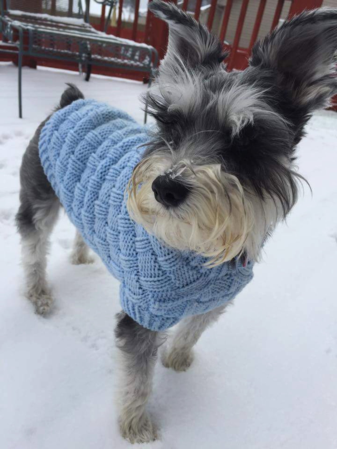 Weave Dog Sweater Pattern - Etsy