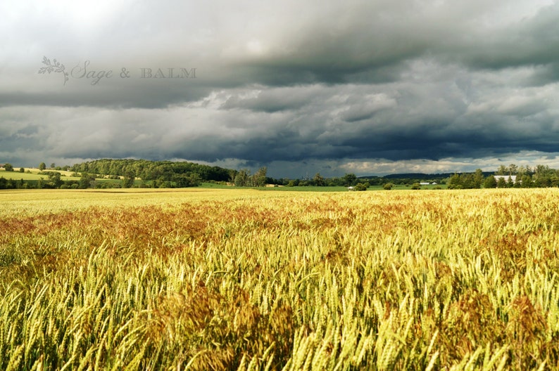 Storm Clounds, Landscape Photography, Nature Photography, Thunderstorm ...