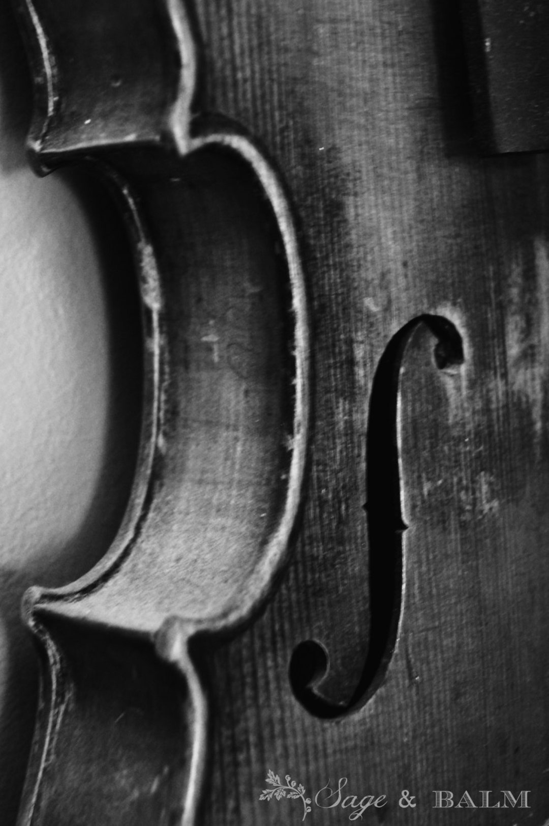 Violin Print, Violin Scroll, Antique Violin, Black & White Photography ...