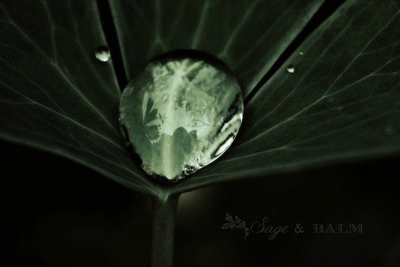 Single Raindrop