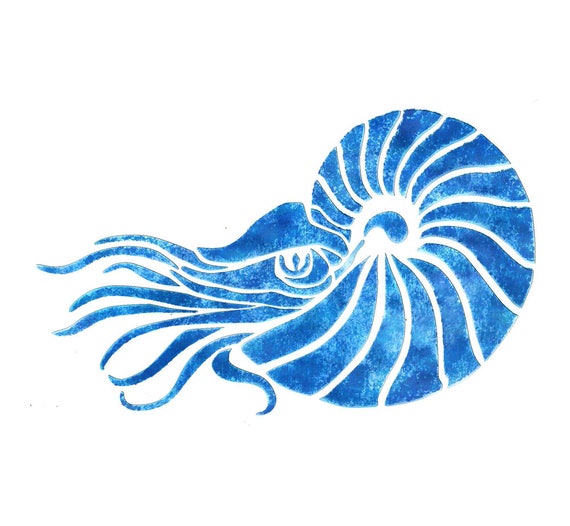 Nautilus Shell Stencil