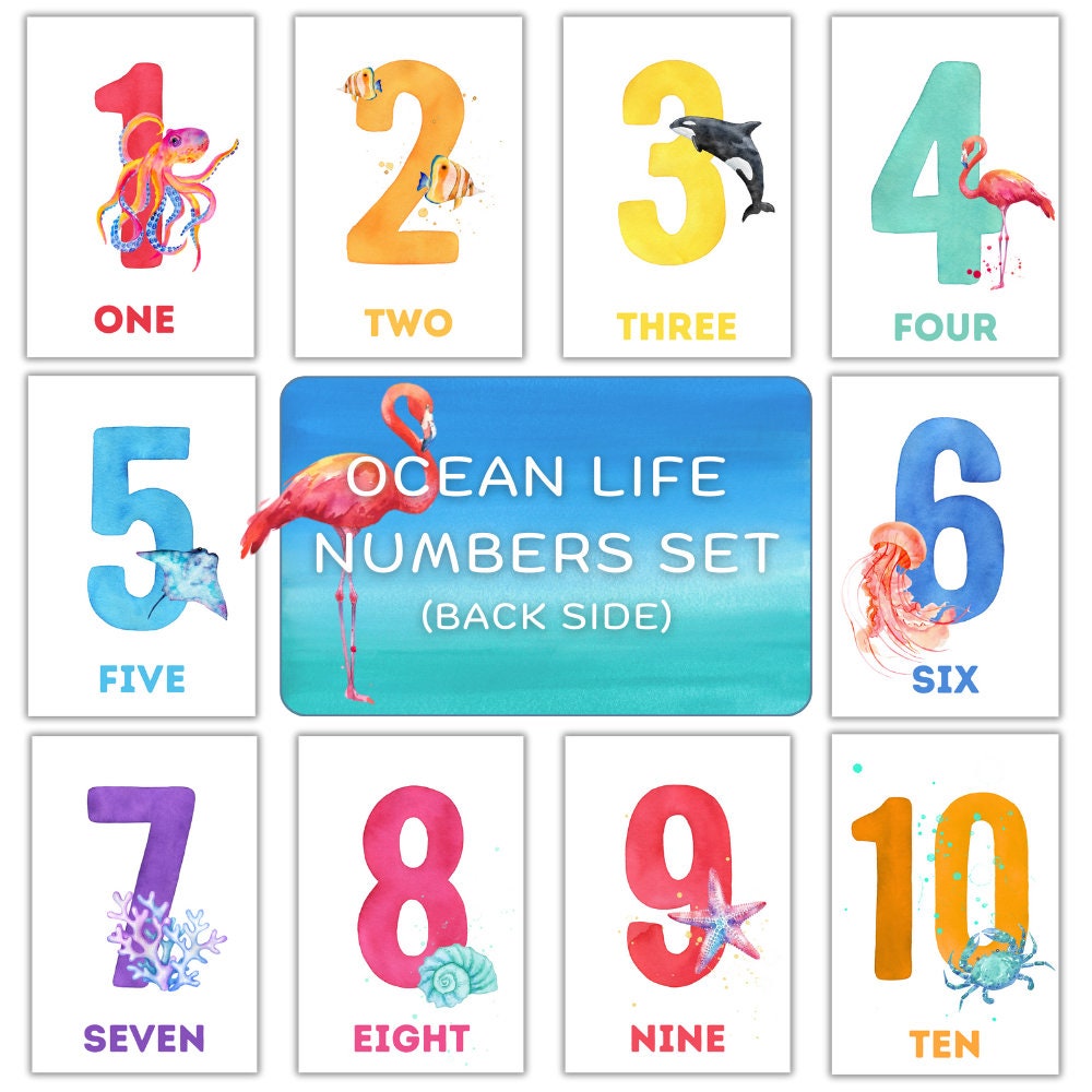 Ocean Animals Number Flashcards, Kids Homeschool Printable (PDF) - Etsy