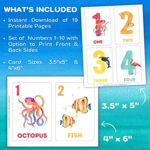 Numbers Flash Cards for Kids, Ocean Theme, Ocean Animals, Flashcards ...