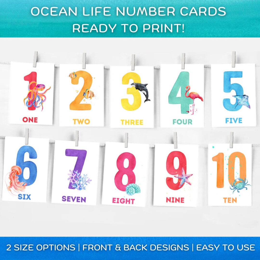 Numbers Flash Cards for Kids, Ocean Theme, Ocean Animals, Flashcards ...