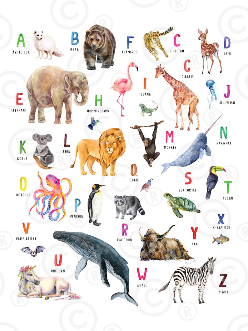 Animal Alphabet Nursery Print, Educational Safari Art - Etsy