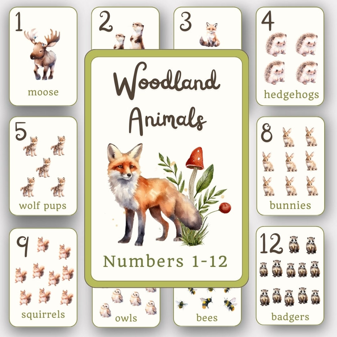 Numbers Flash Cards for Kids, Woodland Animals Theme, Flashcards ...