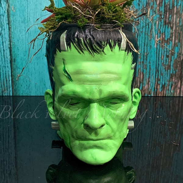 Head Planter - Etsy