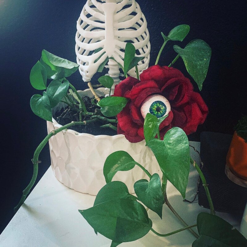 Skeleton Planter - Etsy