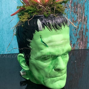 Frankenstein Planter, Monster Planter Pot, Head Planter, Classic ...