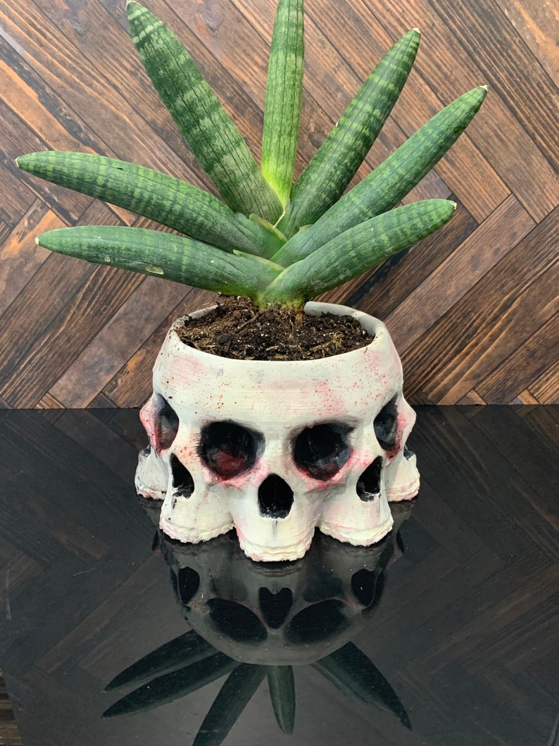 Skull Planter Pot, Gothic Planter, Goth Christmas Gift, Gothic Decor ...