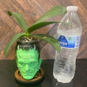 Frankenstein Planter, Monster Planter Pot, Head Planter, Classic ...