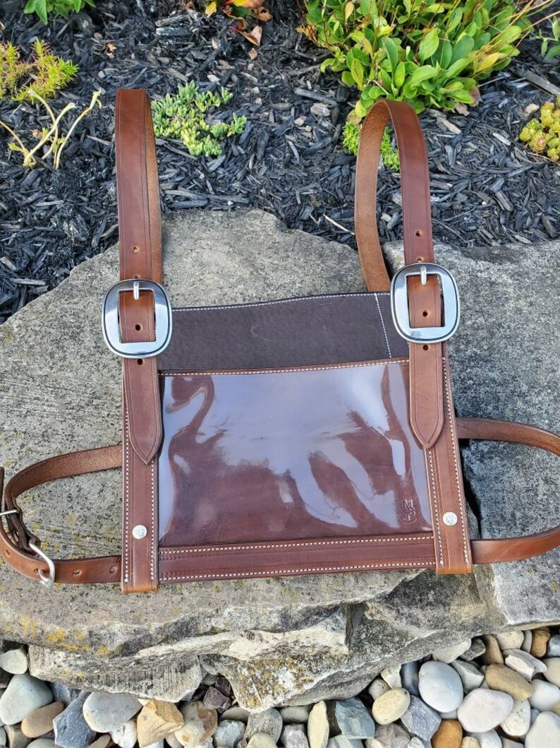 Livestock Show Harness Number Show Harness Leather Number - Etsy