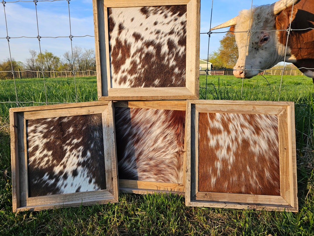 Wedding Branding Ceremony, Cowhide Branding Ceremony, Wedding, Western ...