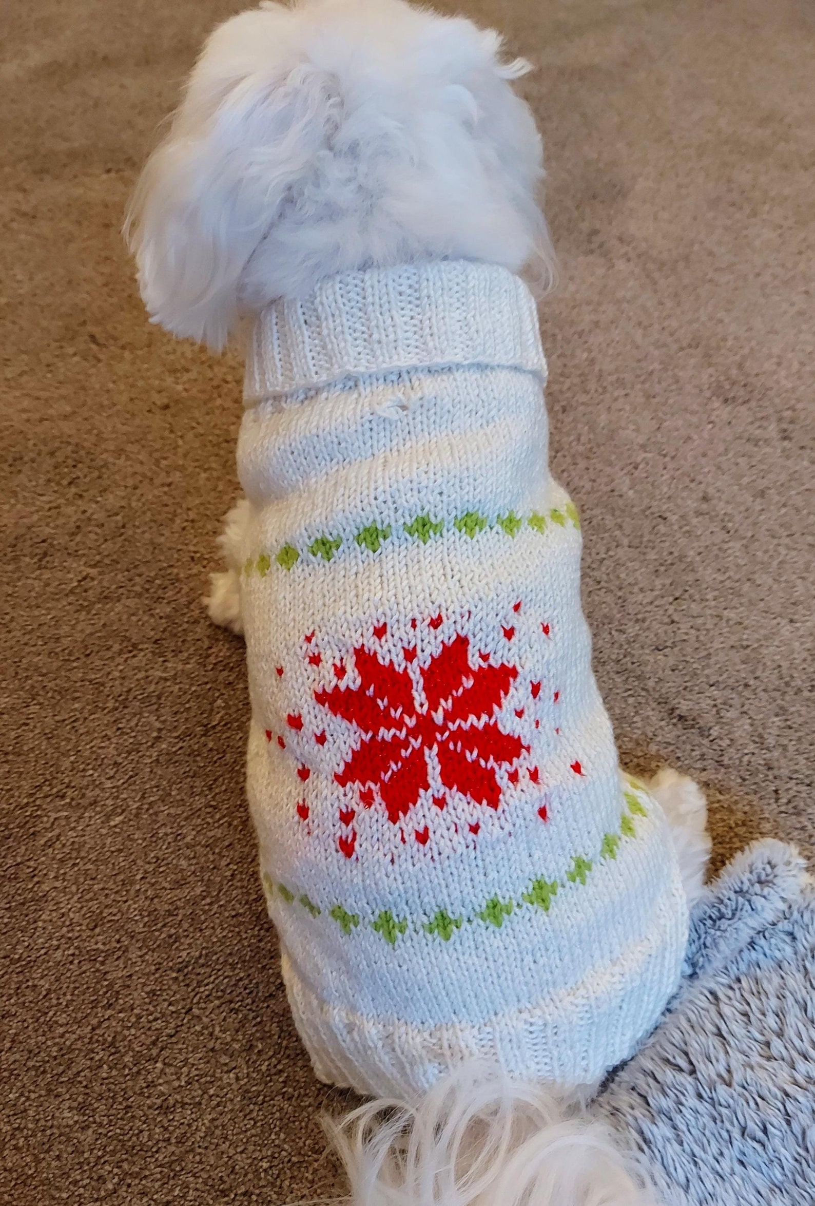 Small Dog Coat Knitting Pattern-pdf Download UK English Terms-christmas ...