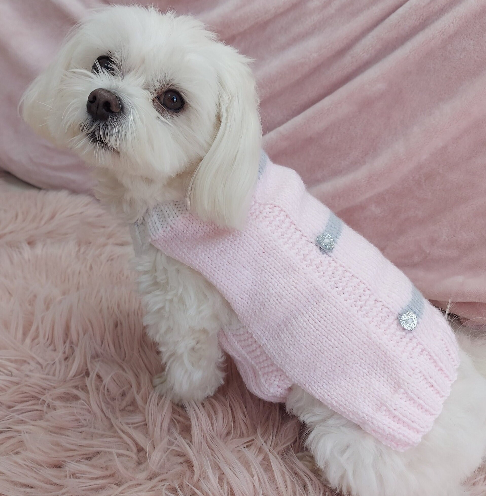 Dog Coat Knitting Pattern for Small Dog-instant PDF Download - Etsy UK