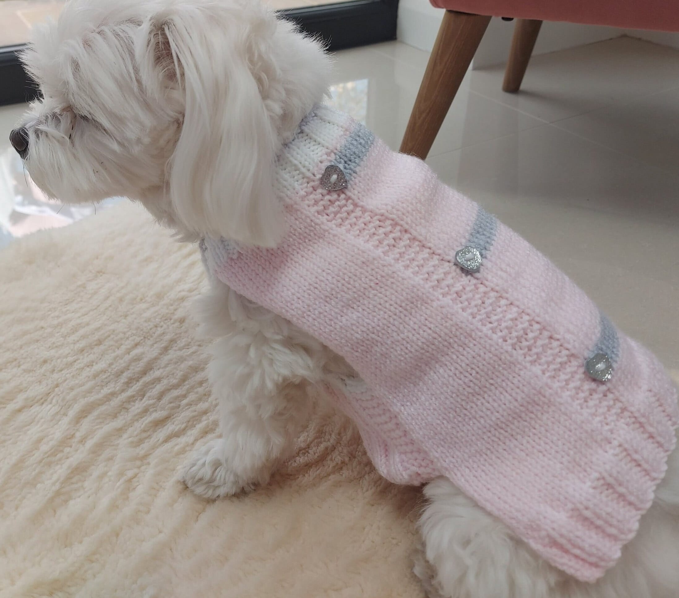 Dog Coat Knitting Pattern for Small Dog-instant PDF Download - Etsy UK
