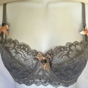 Silver Gray Swarovski Crystal Lace Bra and Panties Set 34C - Etsy