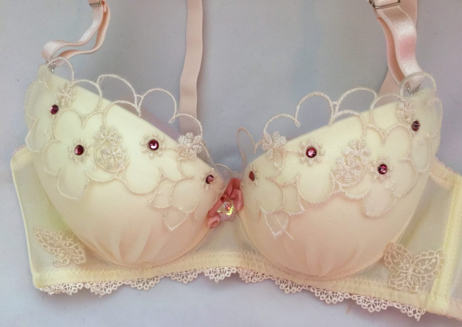 Cream Ivory W/ Pink and Organza Flowers Swarovski Crystal Bra and ...