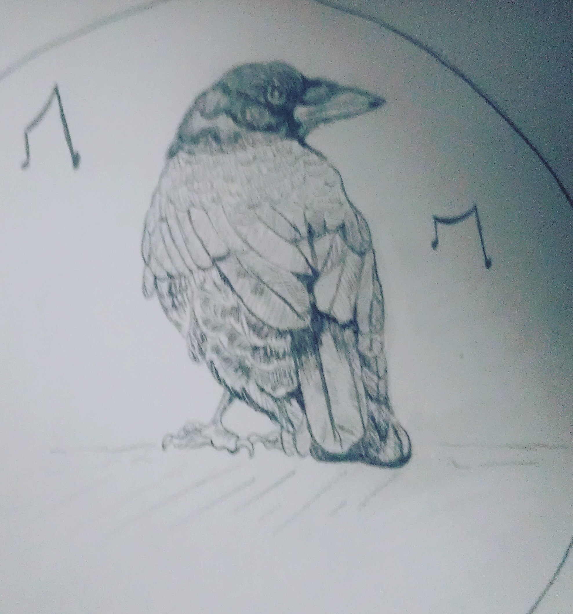 Custom Banjo Head Design Musical Instrument Unique Design - Etsy