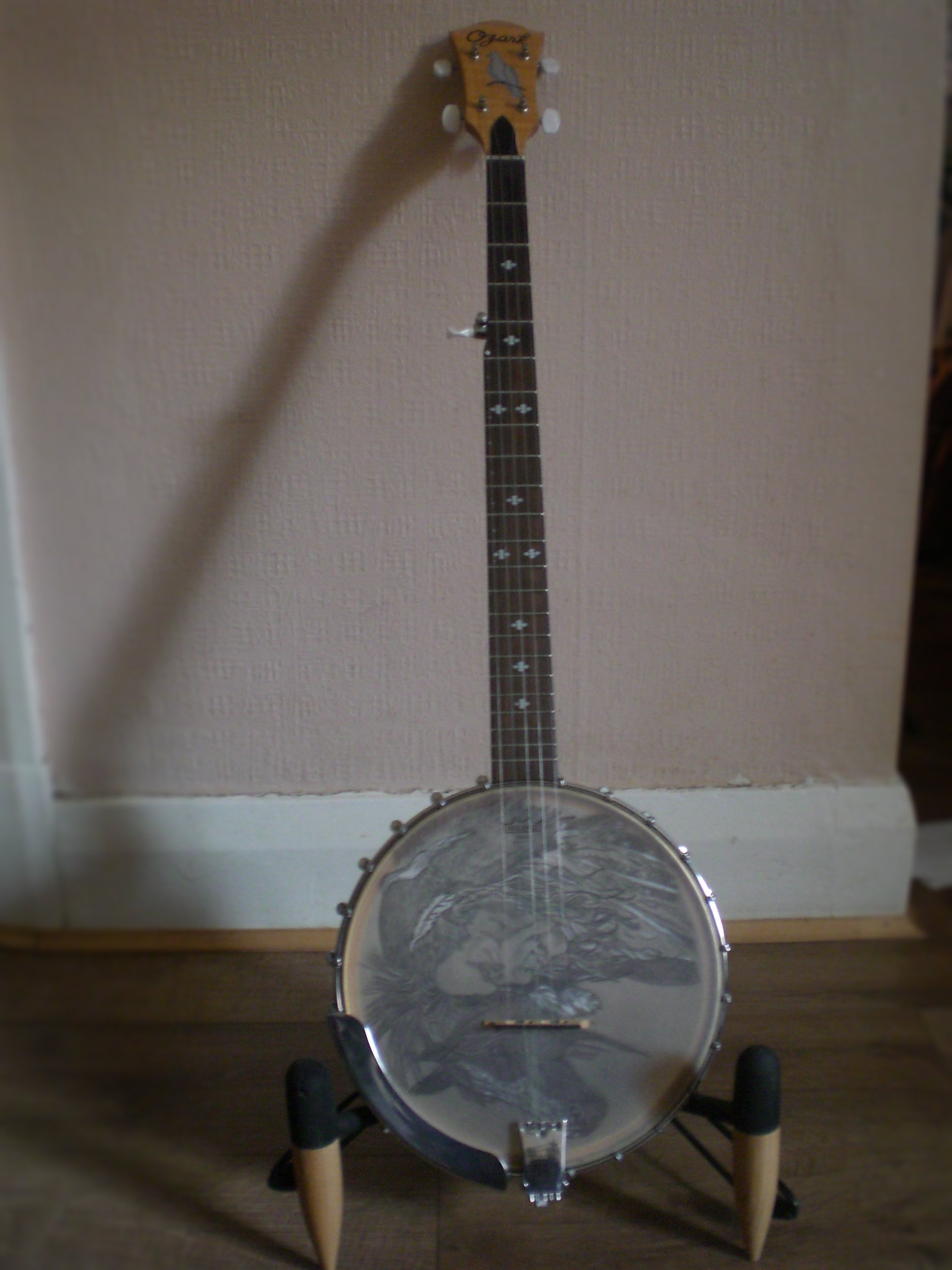 Indian Chief | Banjo Head Design - Etsy