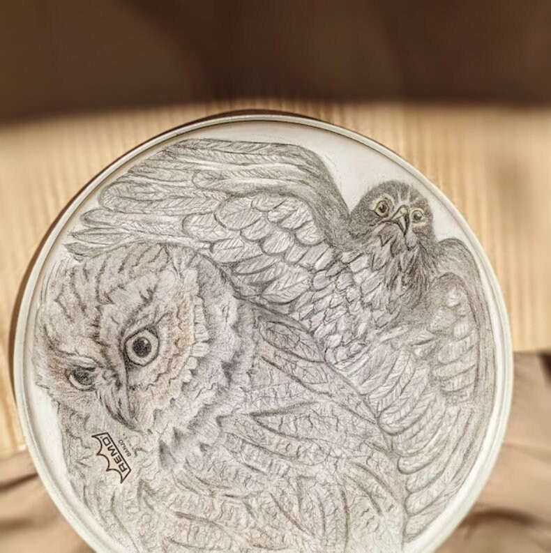 Custom Banjo Head Design | Musical Instrument | Unique Design - Etsy