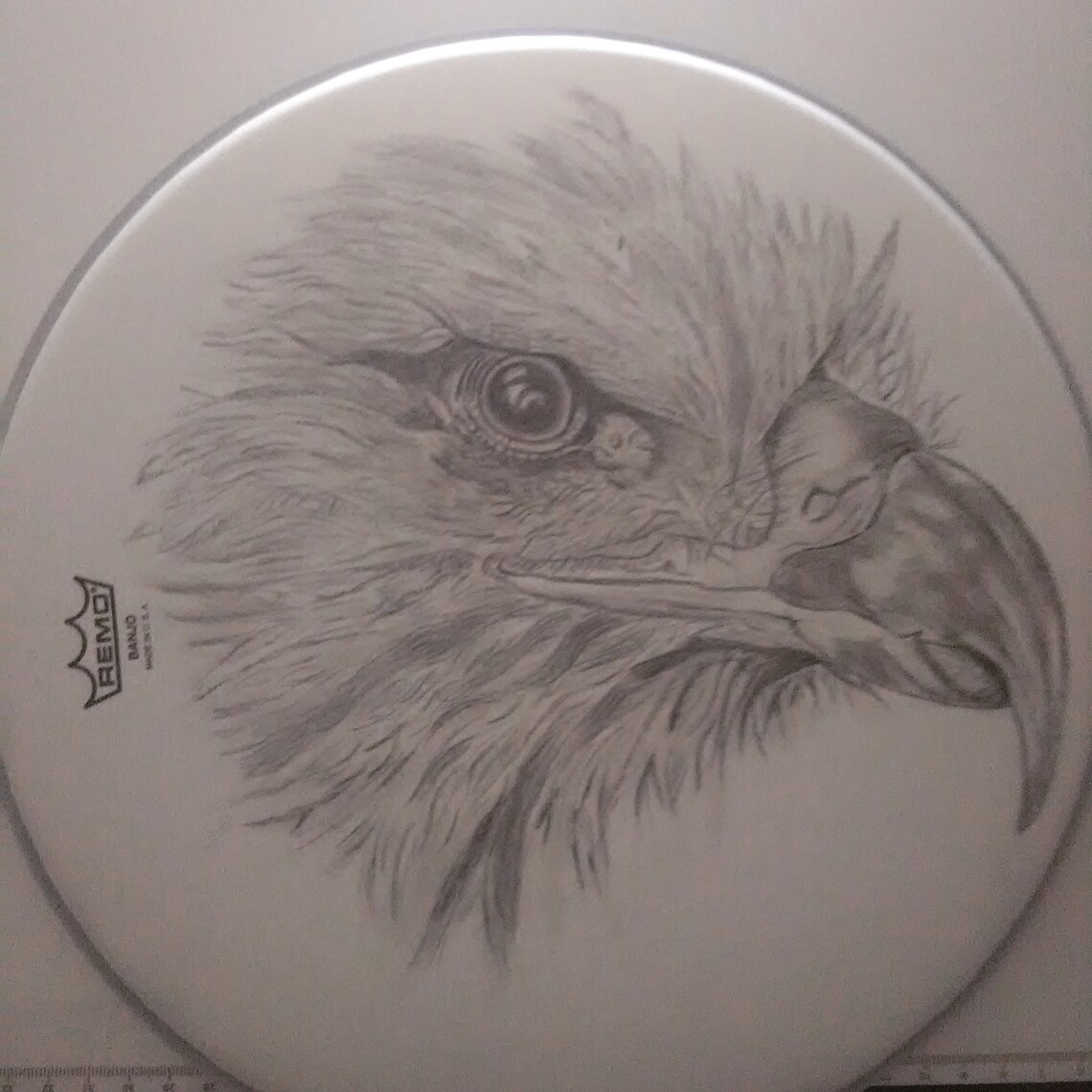 Custom Banjo Head Design | Musical Instrument | Unique Design - Etsy