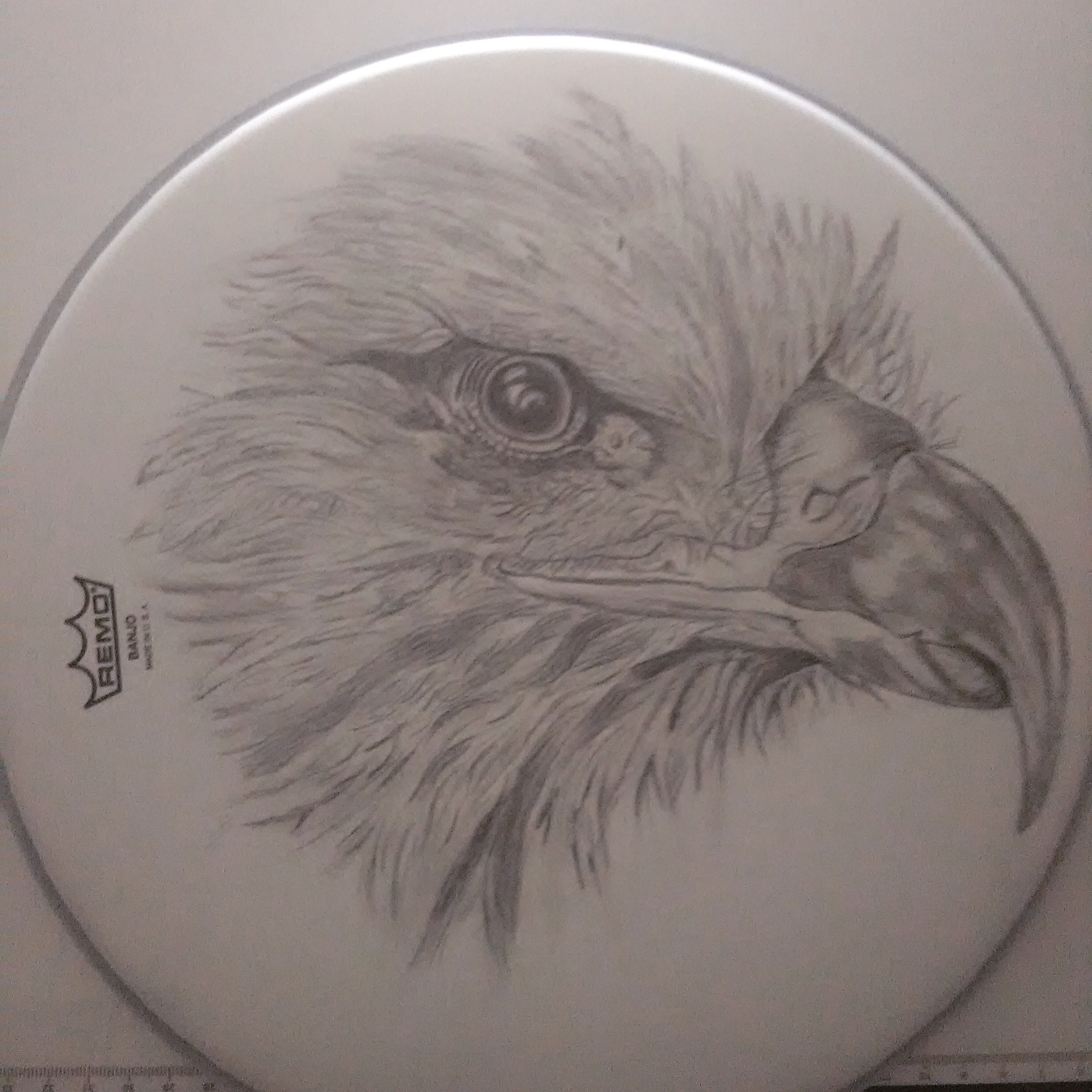 Custom Banjo Head Design | Musical Instrument | Unique Design - Etsy