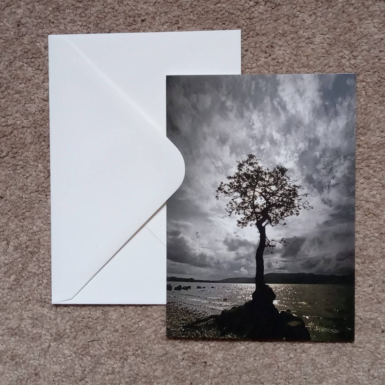 LOCH LOMOND TREE, Scotland Lonely Tree Photography Card, Millarochy Bay ...